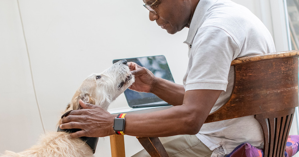 How To Give A Dog A Tablet - Ask Woodgreen | Woodgreen Pet Charity