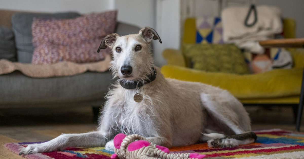 Resource Guarding: What Is It And How To Stop? - Ask Woodgreen